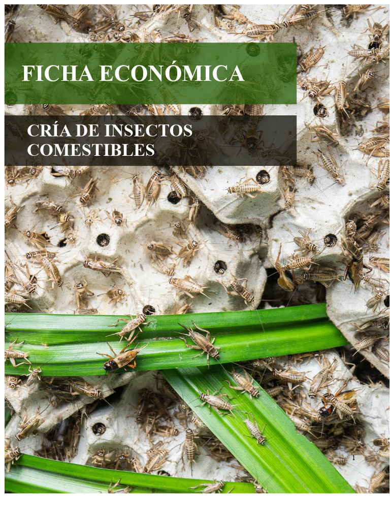 Ficha Económica: Cría de Insectos Comestibles | PDF | Alimentos ...