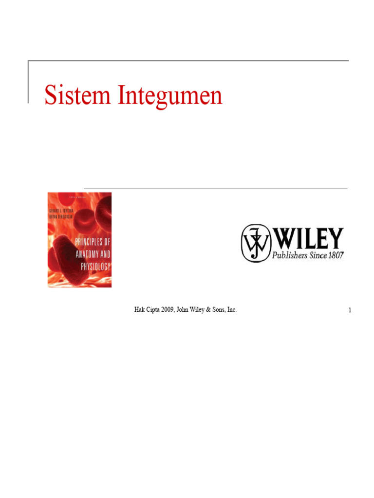 Struktur dan Fungsi Sistem Integumen | PDF