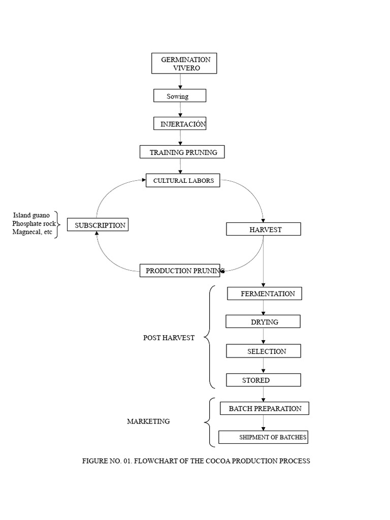 Flowchart of The Production Process | PDF | Cocoa Bean | Chocolate