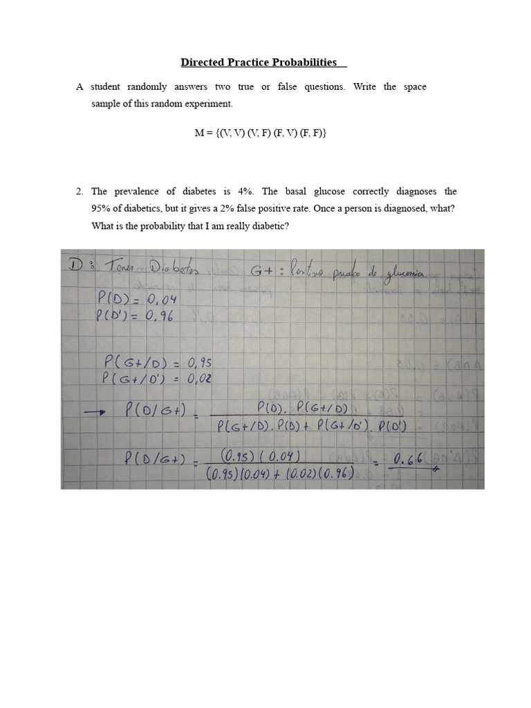 Directed Practice I - Probabilities | PDF