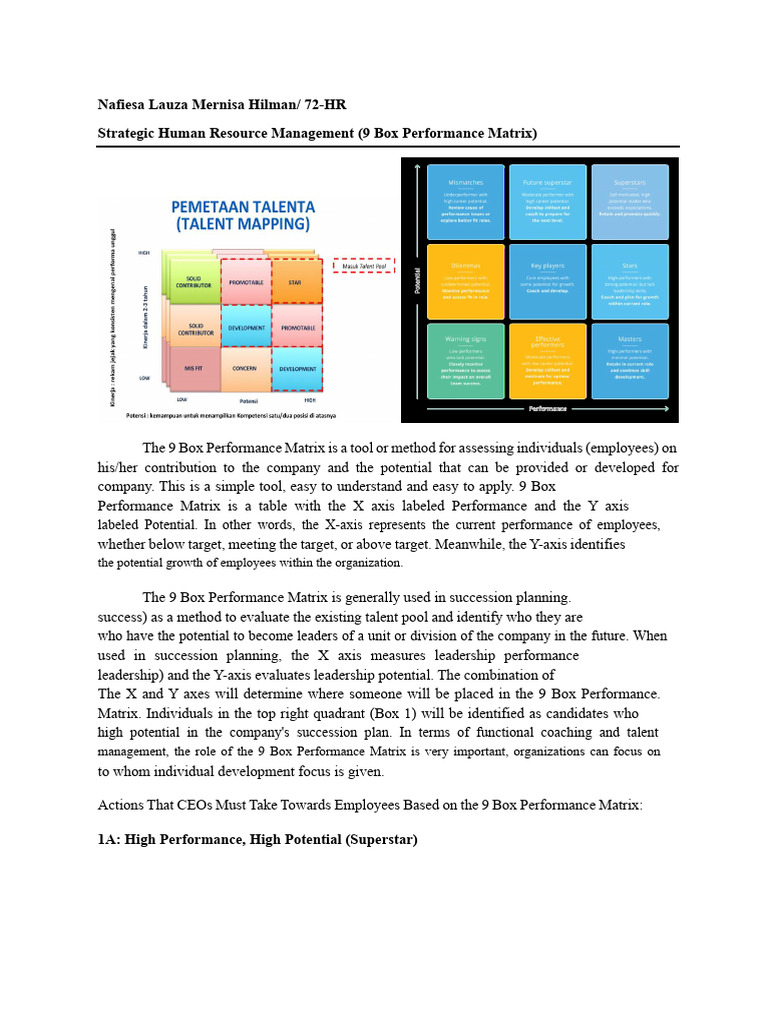 9 Box Performance Matrix Guide | PDF | Cartesian Coordinate System ...