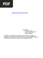 Sandy Beach Ecosystems Explained | PDF | Beach | Coast