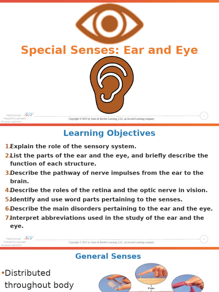 Special Senses: Ear and Eye | PDF | Ear | Hearing