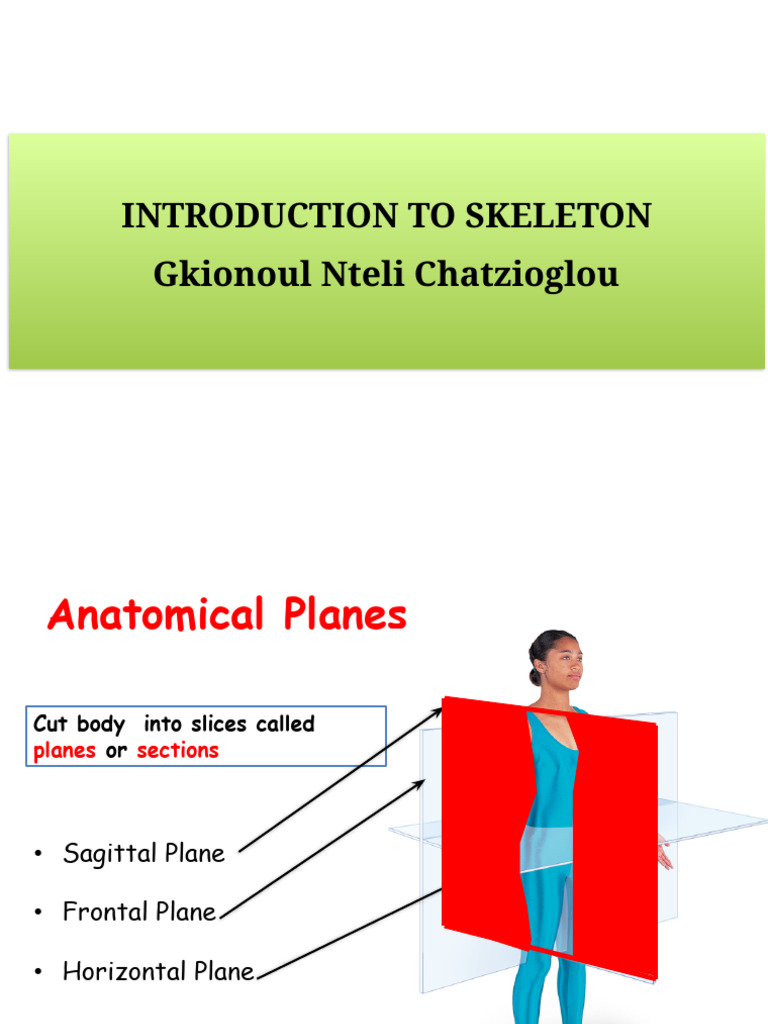 Introduction To Anatomical Terms of Movement | PDF | Anatomical Terms ...