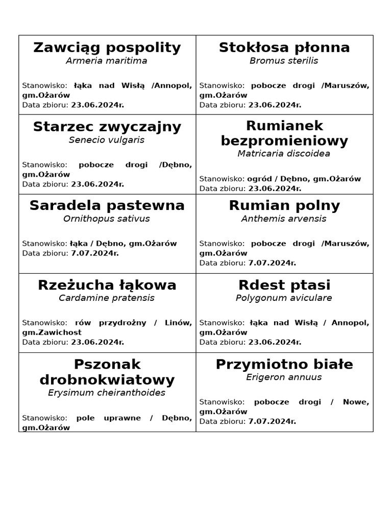 Naklejki Ziołą Gotowe 25 Sierpnia 2024 | PDF