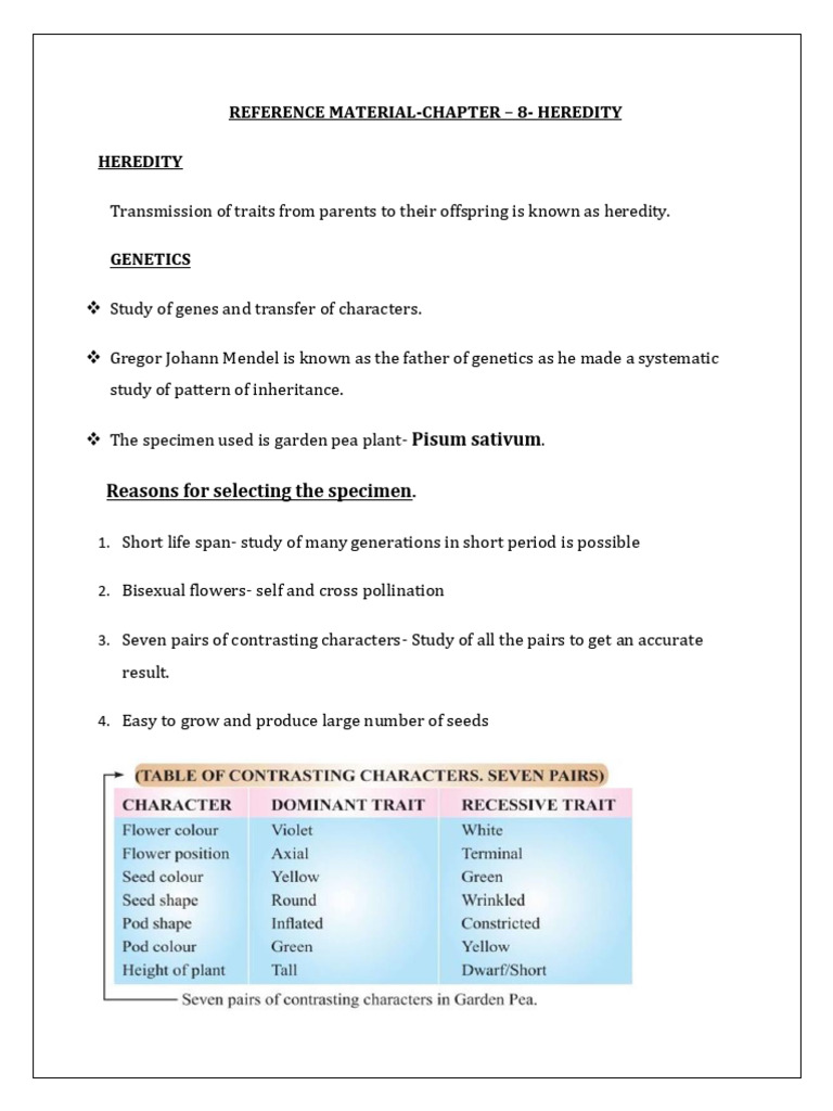 Chapter - 8 Heredity - Reference Material | PDF | Dominance (Genetics) | Allele