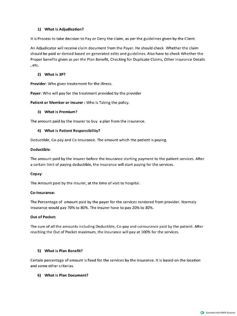 What Is Adjudication | PDF