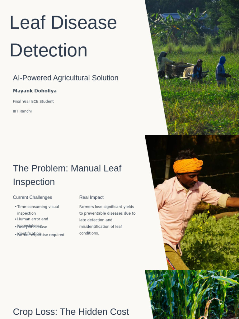 AI Leaf Disease Detection Solution | PDF | Applied Mathematics ...