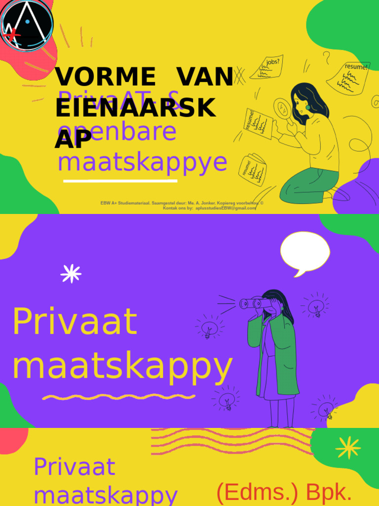 GR 8 EBW PP - 10. Openbare - en Privaat Maatskappye | PDF