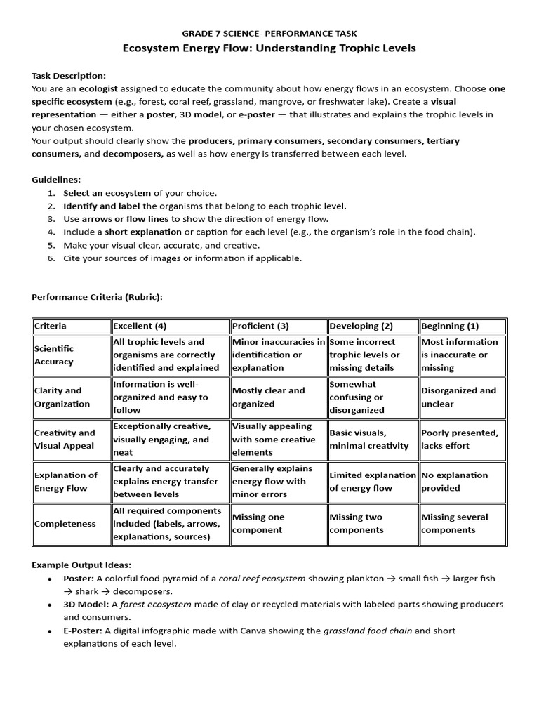 Performance Task 2.1 | PDF | Food Web | Ecosystem