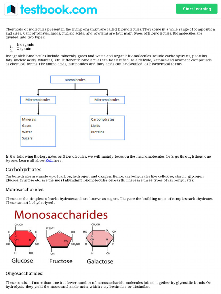 Classification of Biomolecules - Definition, Types, Diagrams PDF | PDF