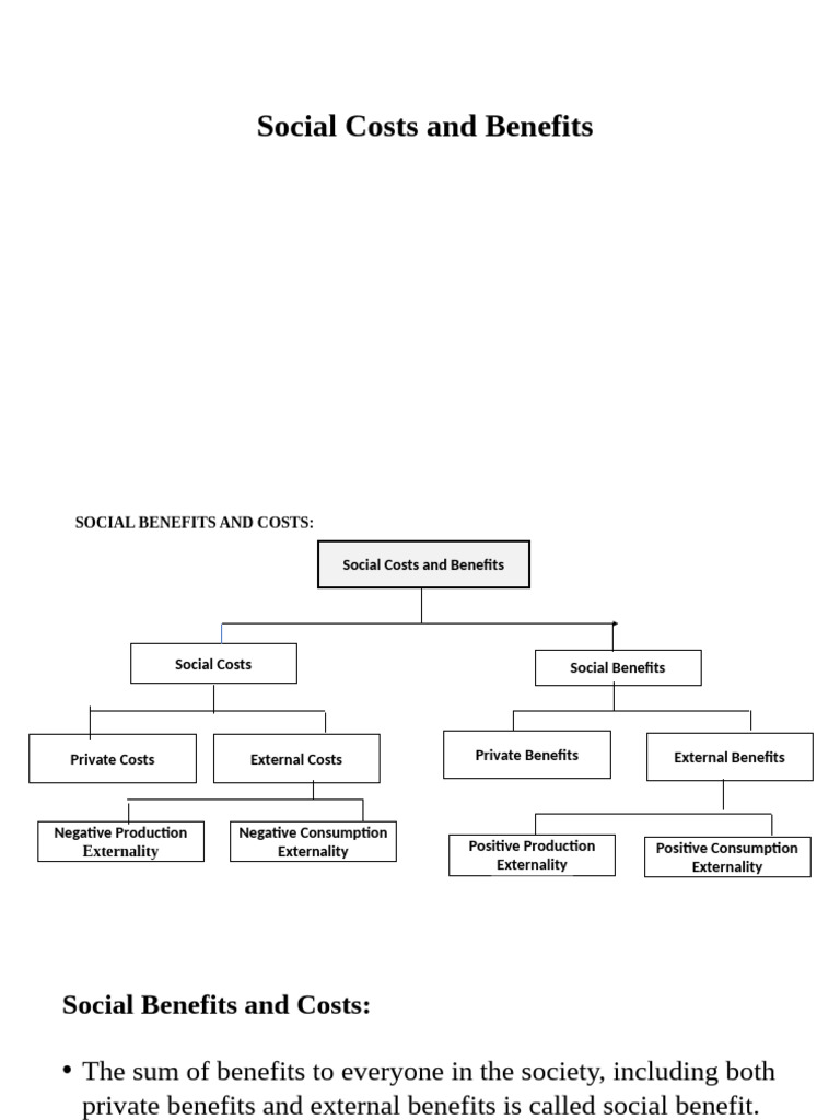 Understanding Social Costs and Benefits | PDF | Externality | Cost