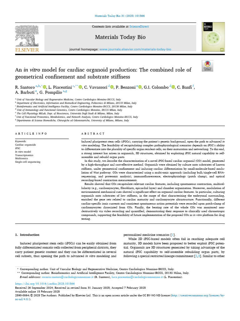 An in Vitro Model For Cardiac Organoid Production-The Combined Role of ...