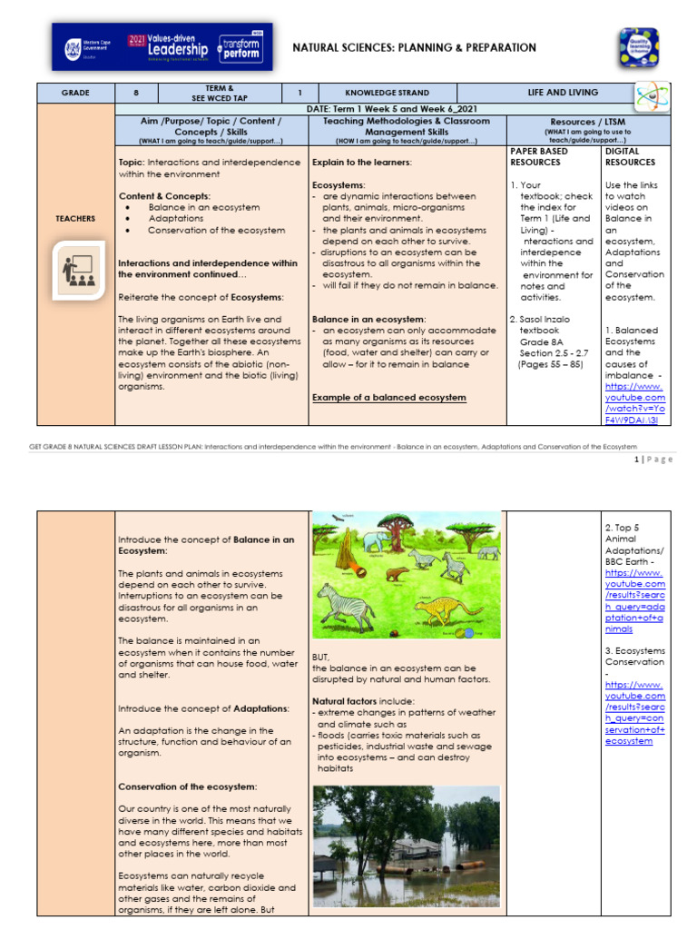 Lesson Plan GR 8 Natural Sciences T1 W5&6 | PDF | Ecosystem | Waste