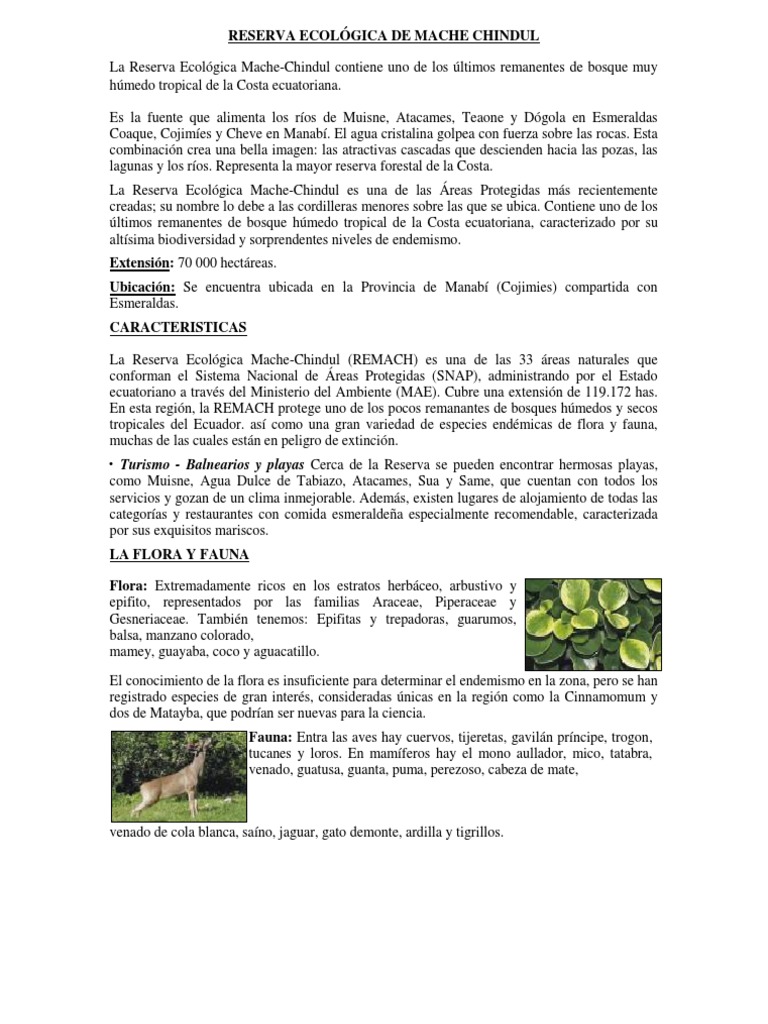 RESERVA ECOLÓGICA DE MACHE CHINDUL-COTACACHI-CAYAPA-CAYAPAS-MATAJE ...