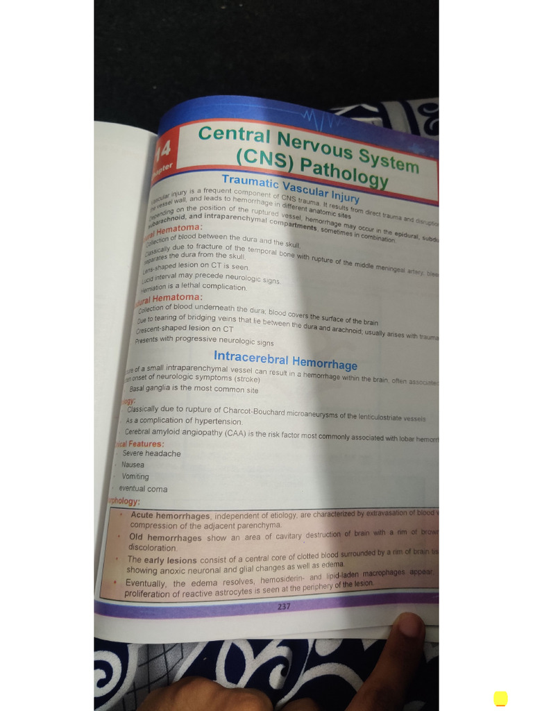 Cns | PDF