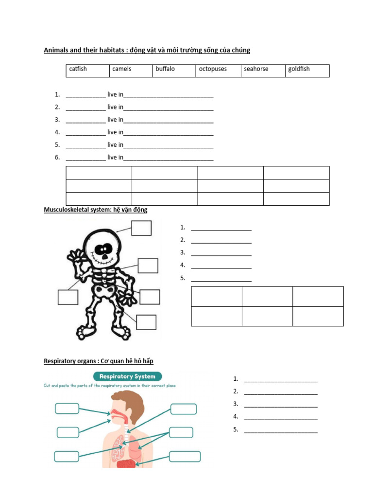 Science Grade 2 | PDF