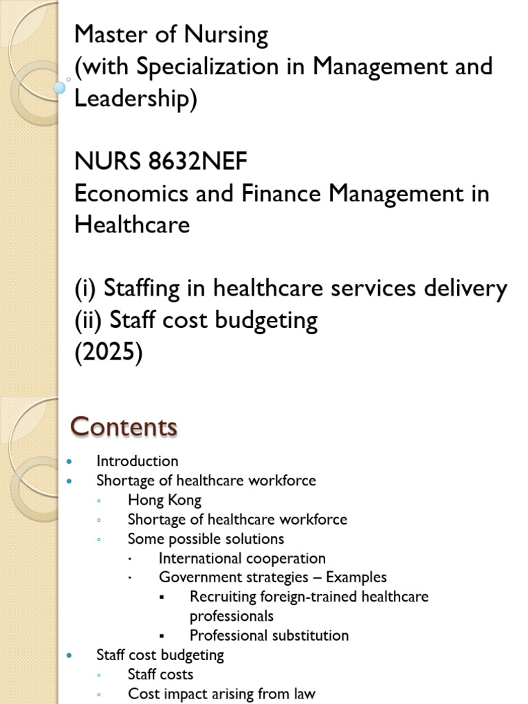 Staffing and Staff Cost Budgeting (2025) | PDF | Employment | World ...