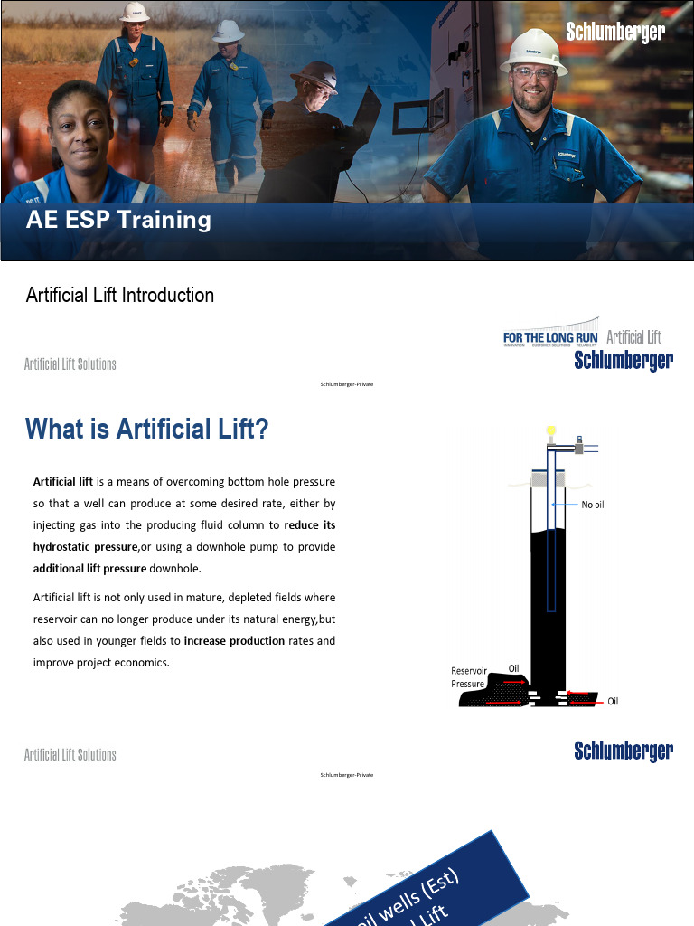 D1 01 BSP Artificial Lift Introduction | PDF | Pump | Chemical Engineering