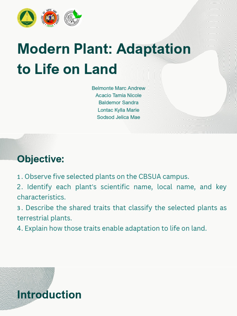 Modern Plant Adaptation To Life On Land | PDF | Plants | Botany