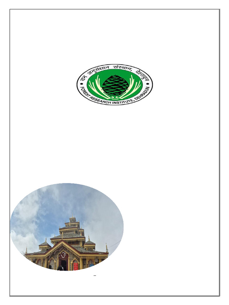 Suruchi Ds Report - 020413 | PDF | Forests | Trees
