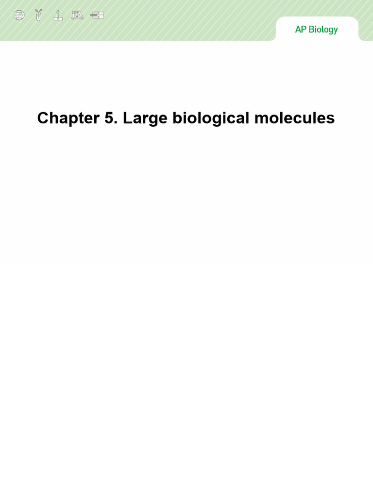 Chapter5_Macromolecule | PDF | Carbohydrates | Nucleic Acids