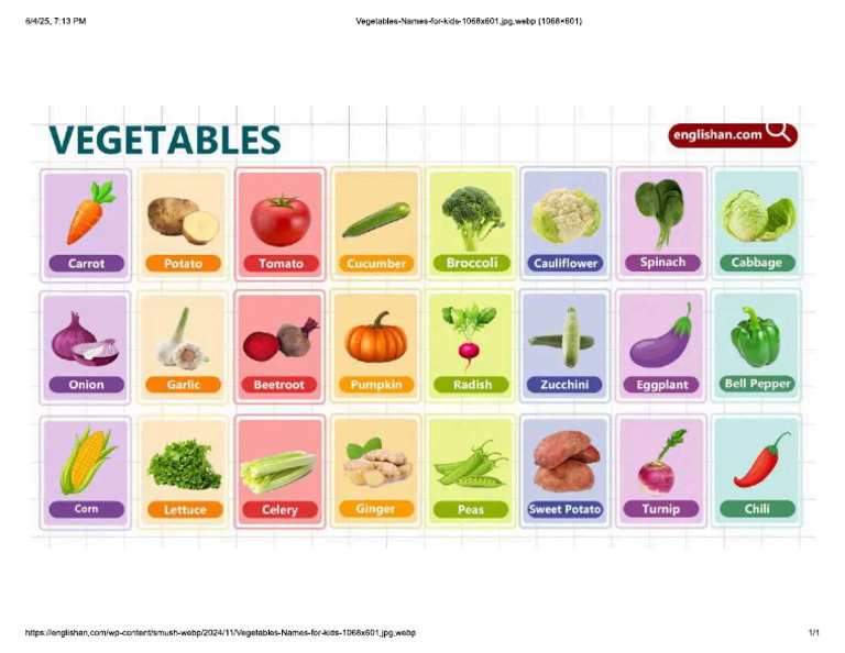 Vegetable | PDF
