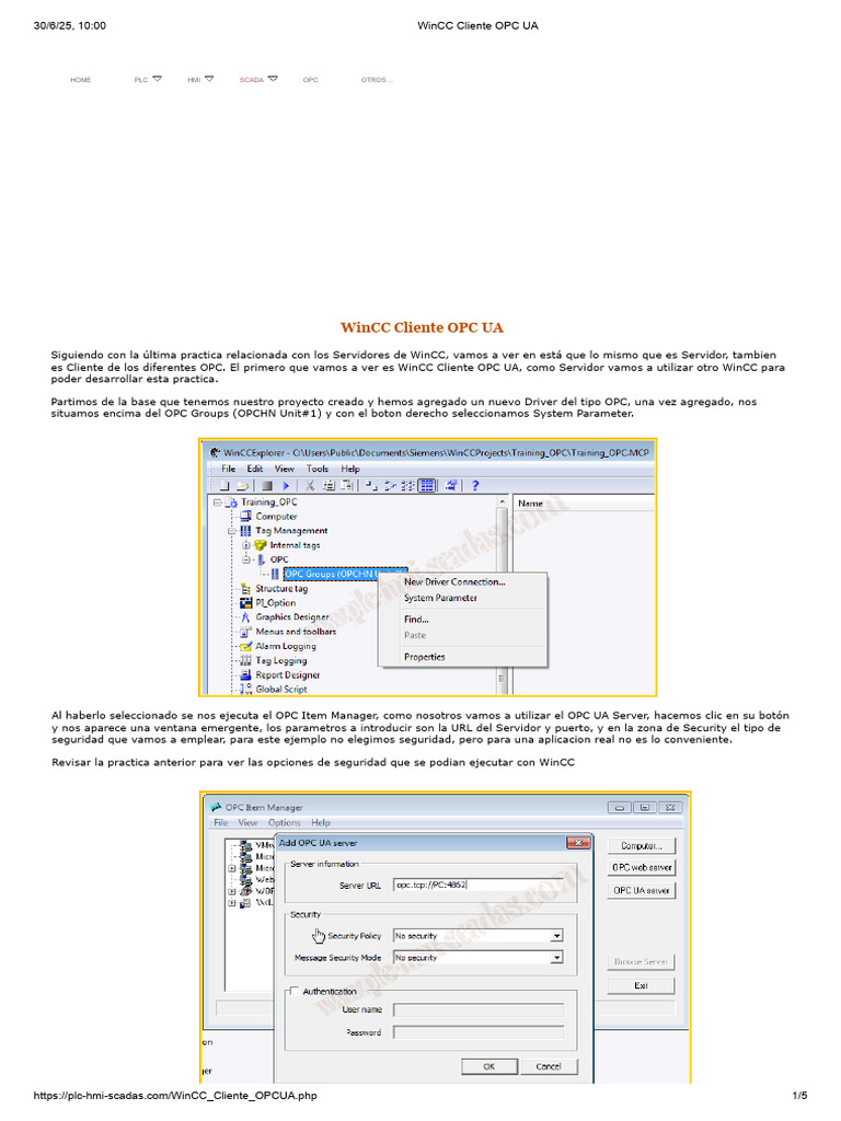 Wincc Cliente Opc Ua | PDF | Informática | Software