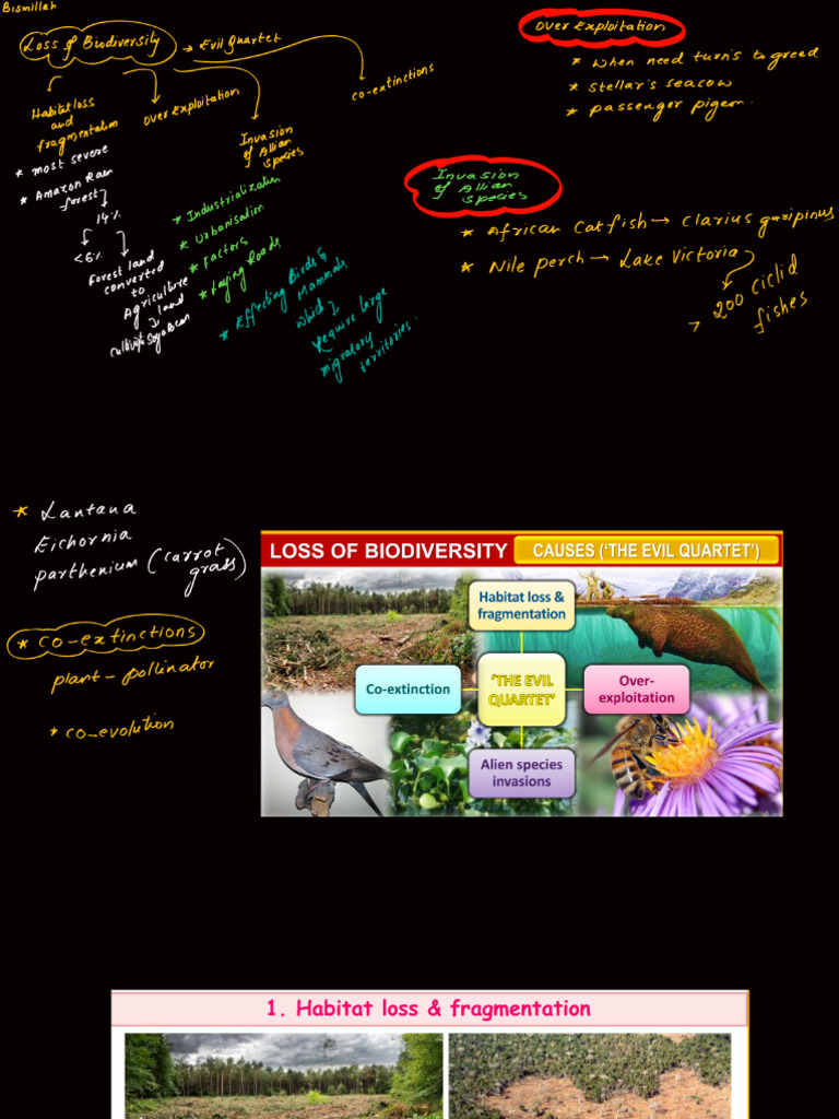 Loss of Biodiversity LTC | PDF
