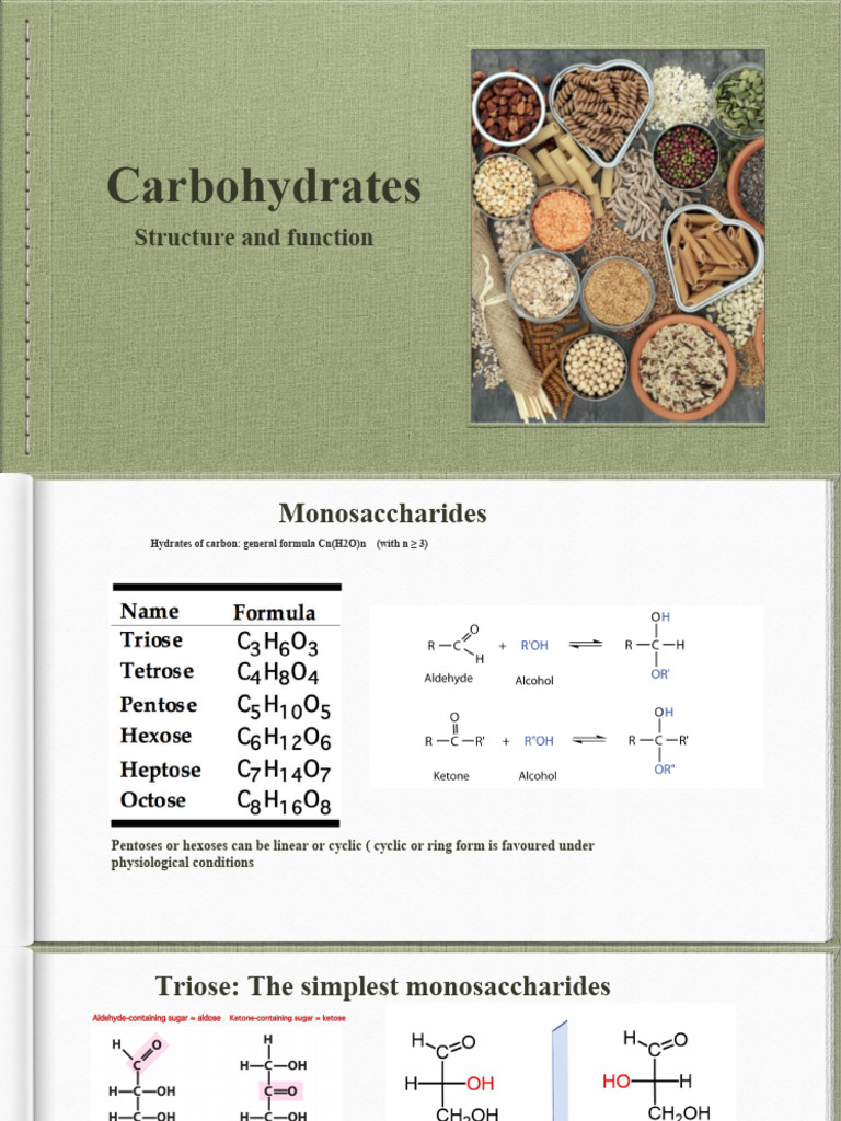 Understanding Monosaccharides and Their Structures | PDF ...