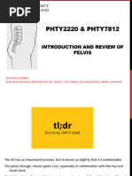 SIJ Stability: Form and Force Closure | PDF | Pelvis | Vertebral Column