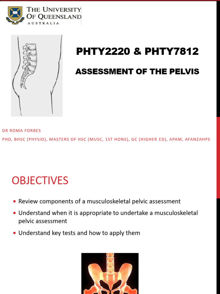 2024 Lecture Pelvis Assessment SLIDES | PDF | Pelvis | Anatomical Terms ...