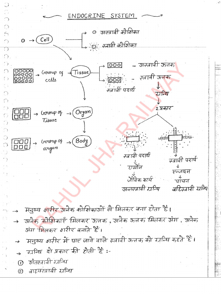 Biology Notes | PDF