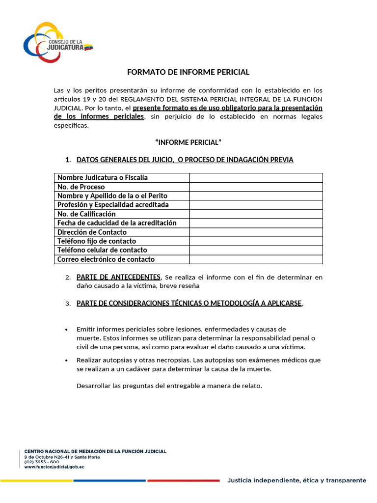 Formato+de+Informe+Pericial EDITABLE. | PDF