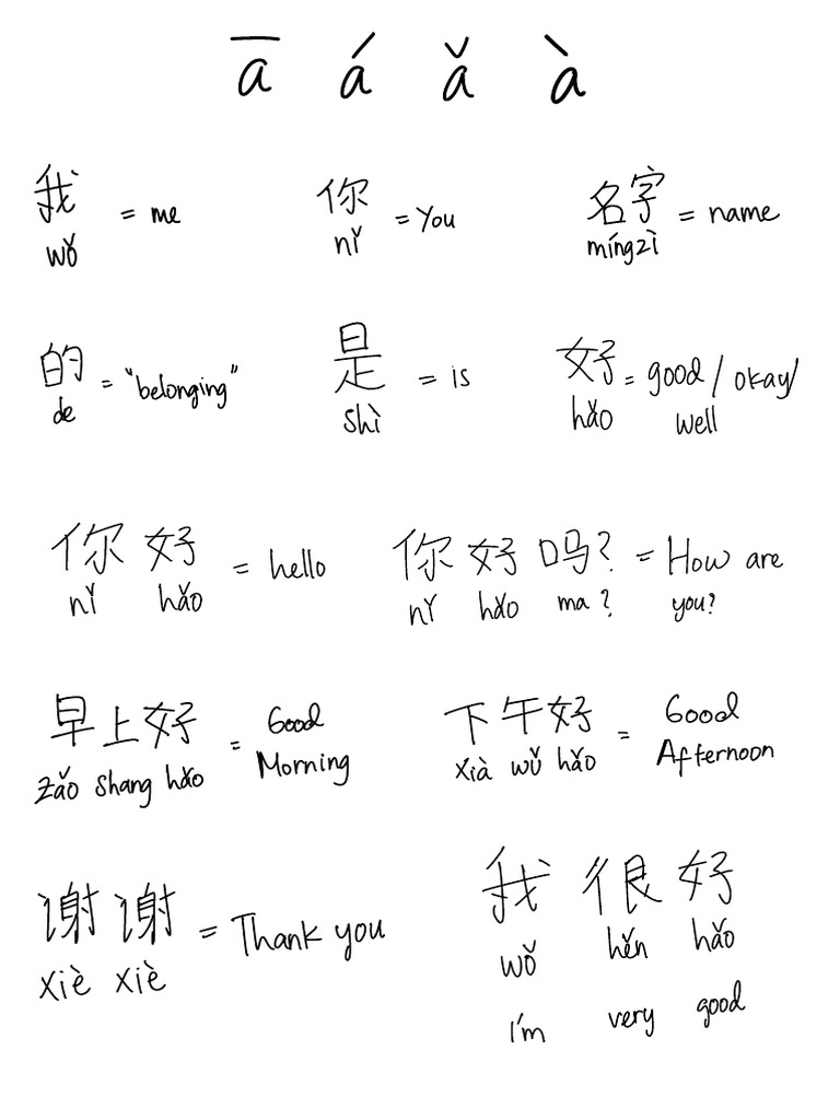 Chinese Beginner Daily Conversation | PDF