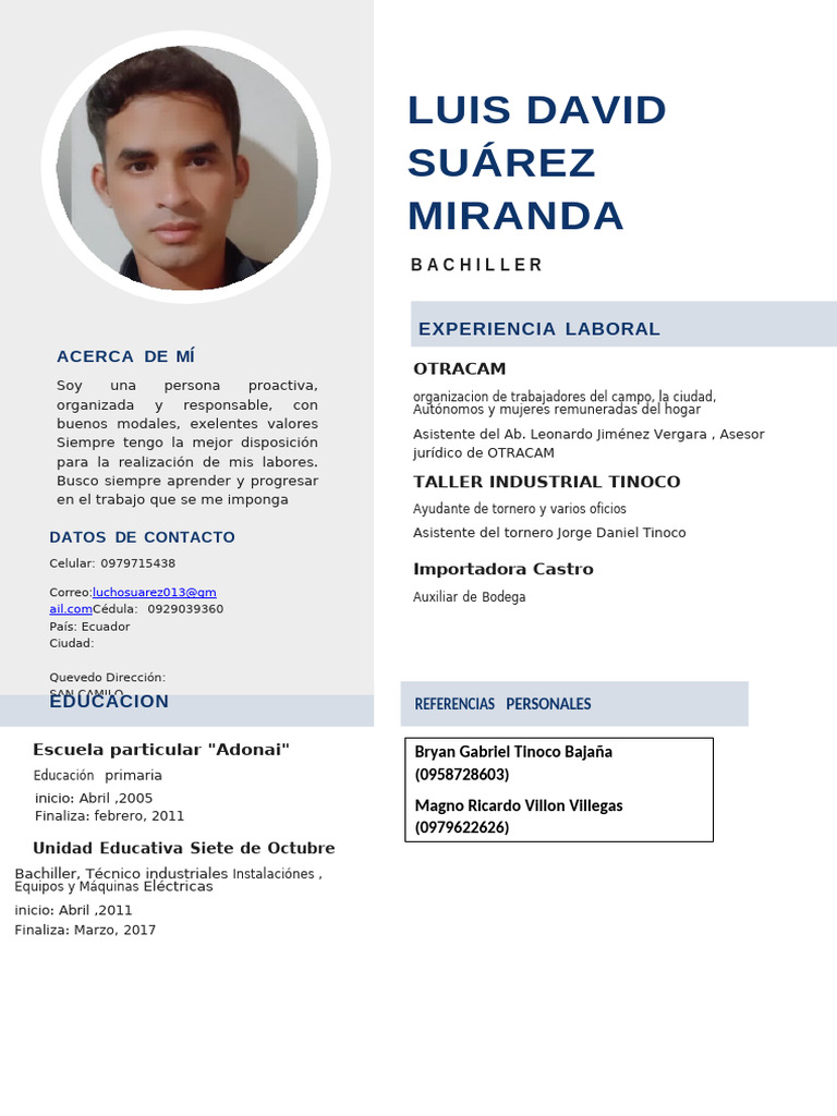 Luis David Suárez Miranda Cv (2) | PDF