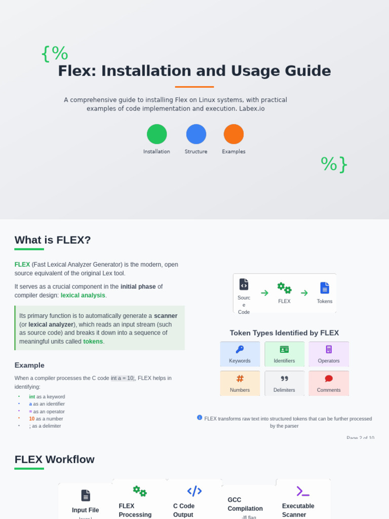 Flex Installation and Usage Guide | PDF | Implementation | Computer ...