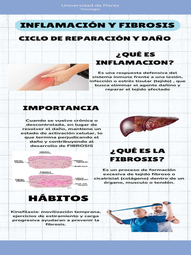 Infografía - Inflamación - Fisiología | PDF