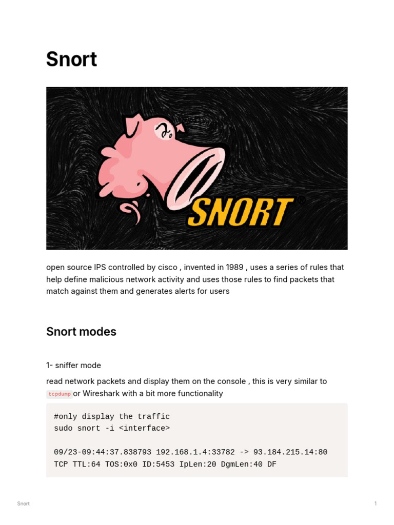 snort | PDF | Port (Computer Networking) | Internet Protocols