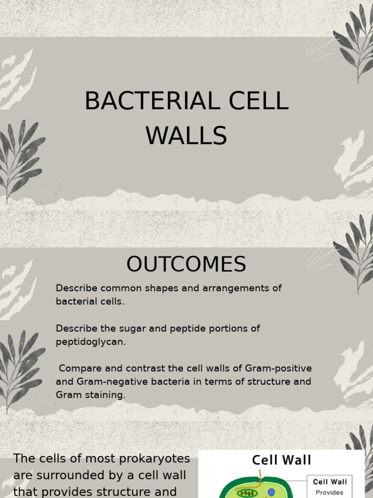 Bacterial Cell Walls: Structure & Types | PDF | Gram Negative Bacteria ...