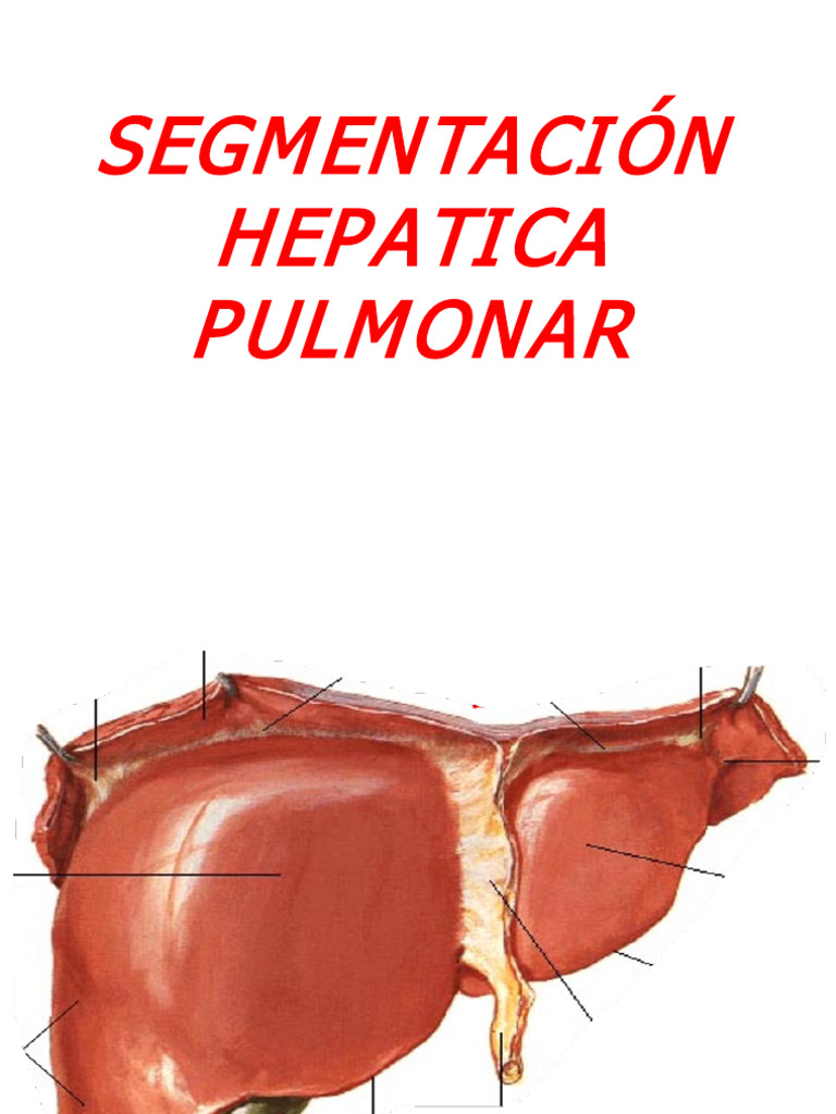 Httpsaulavirtual.upt.Edu.pepregradopluginfile.php483399mod Resourcecontent1SEMINARIO20SEGMENTAC ...