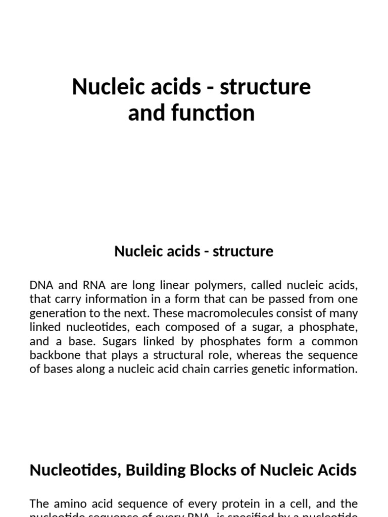 Nucleic Acids - Structure and Function. | PDF | Nucleic Acids | Nucleotides