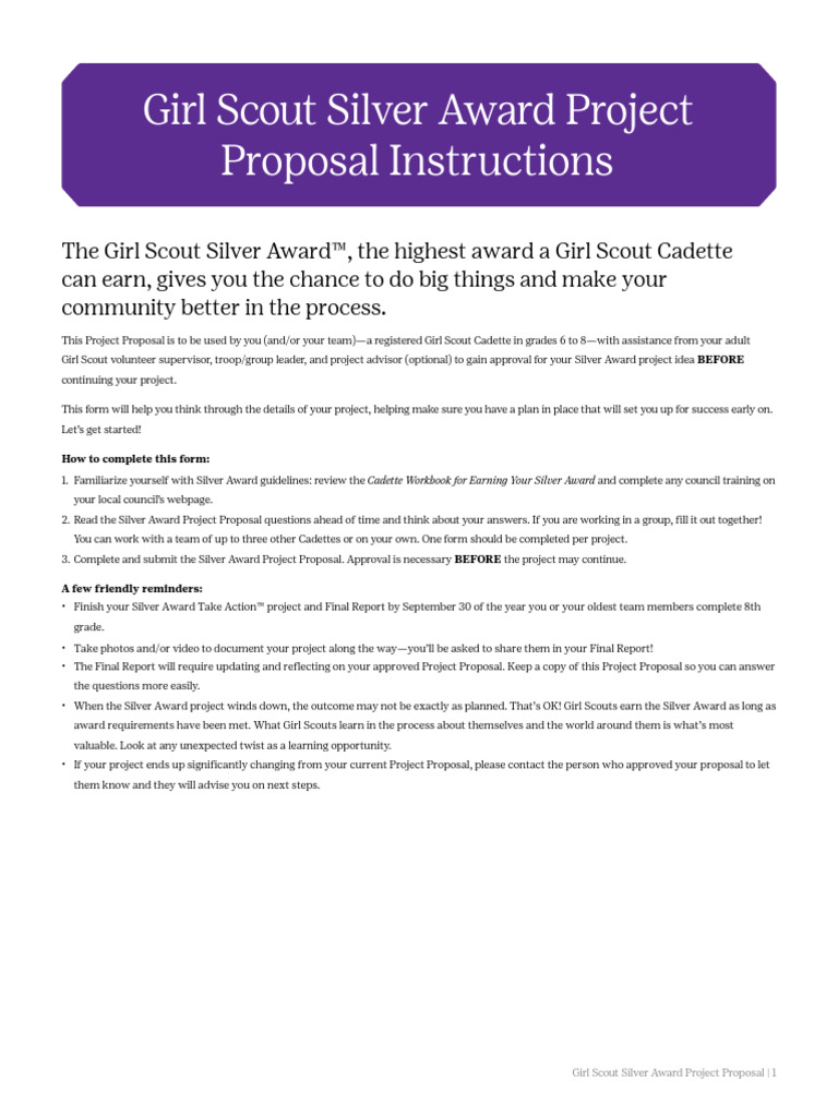 Silver Award Proposal | PDF
