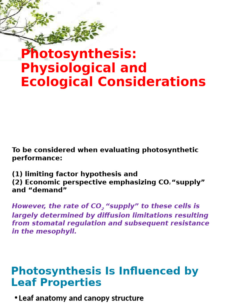 Photosynthesis: Factors Affecting Performance | PDF | Photosynthesis | Leaf