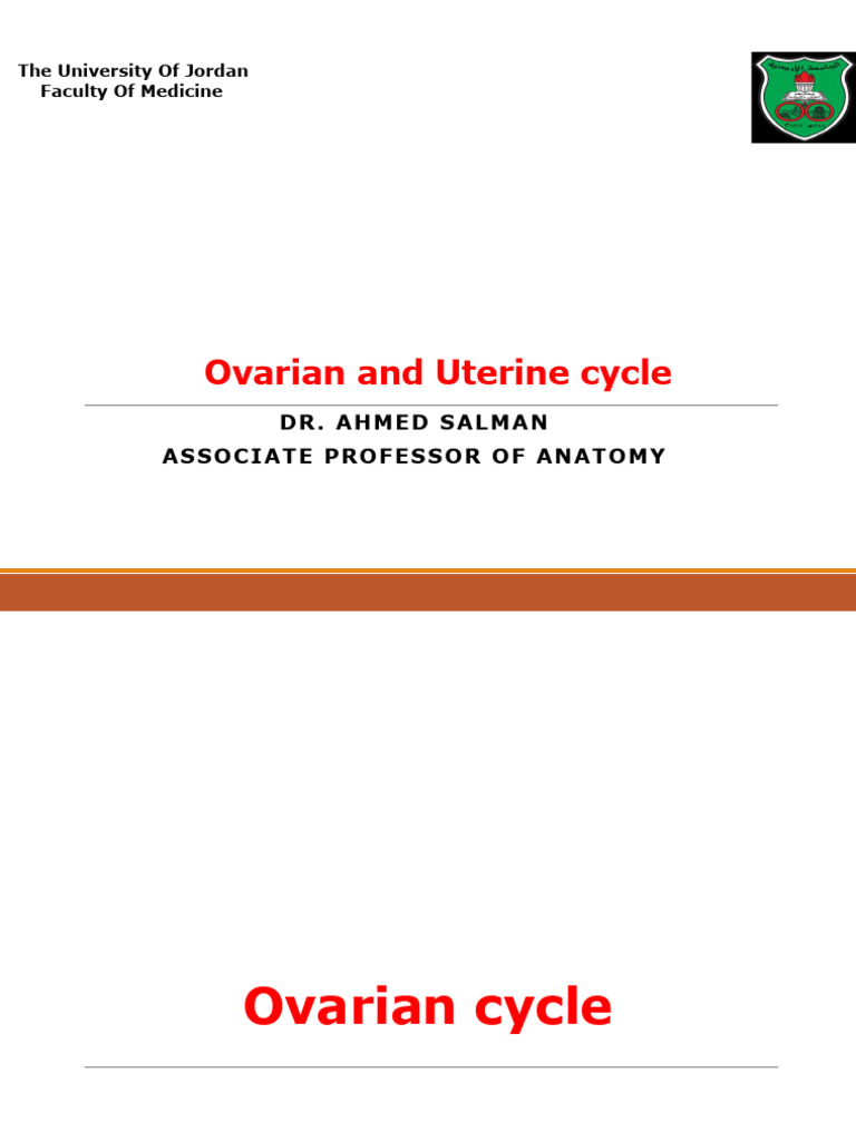 Ovarian and Menstrual Cycles 1 | PDF | Menstrual Cycle | Luteinizing ...