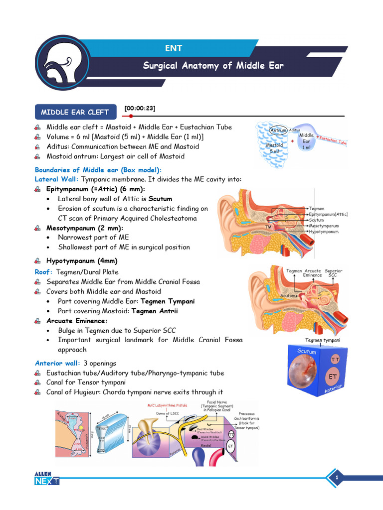 Surgical Anatomy of Middle Ear | PDF | Ear | Otology