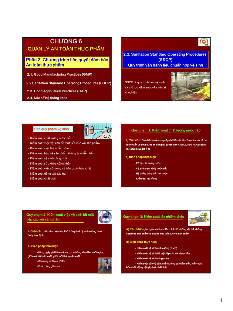 C6 P3 SV. SSOP | PDF