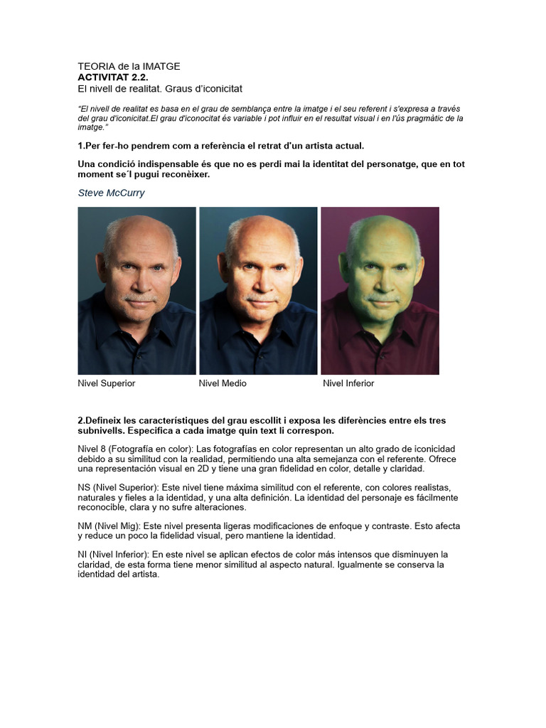 Grados de Iconicidad en Imágenes | PDF