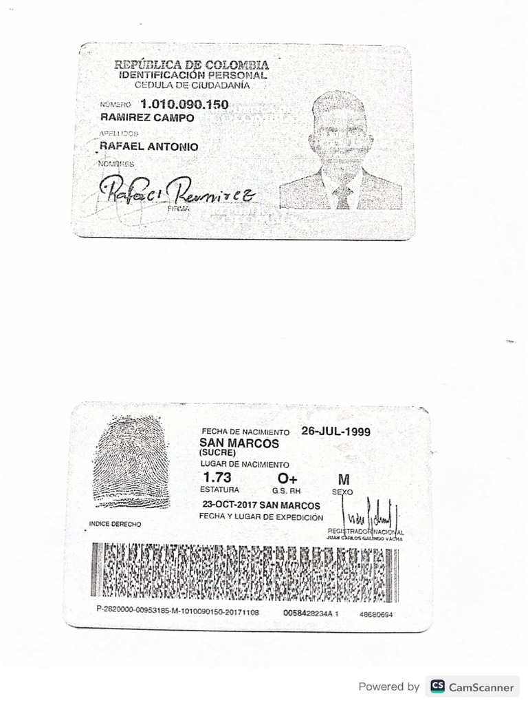 Rafael Ramirez | PDF