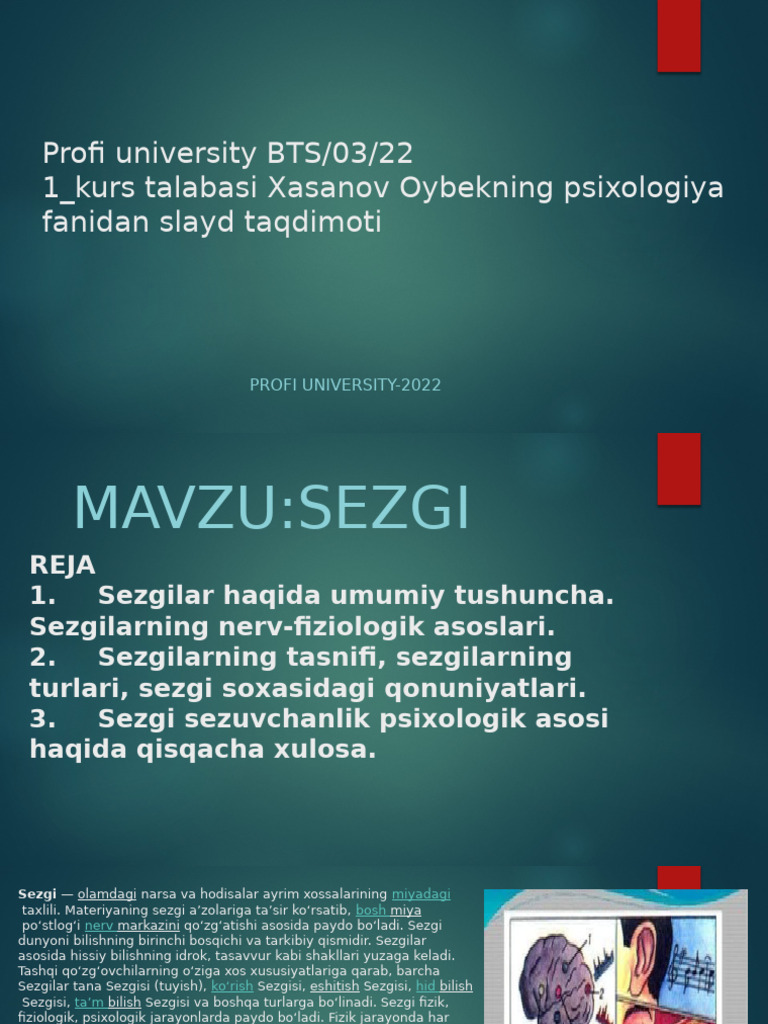 Profi University BTS | PDF